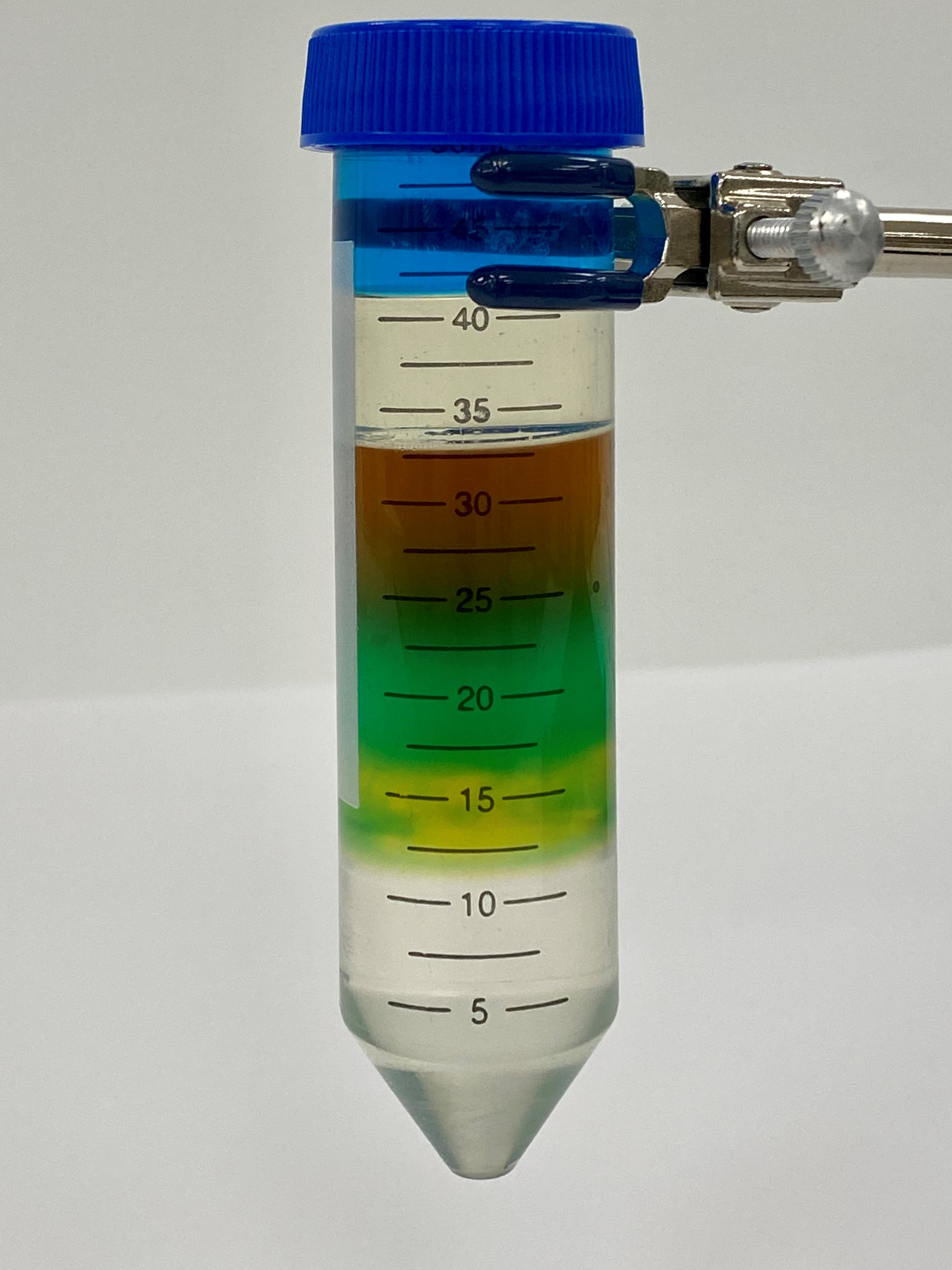 Density: A Fundamental Principle Made Fun | Blog | Sanford PROMISE