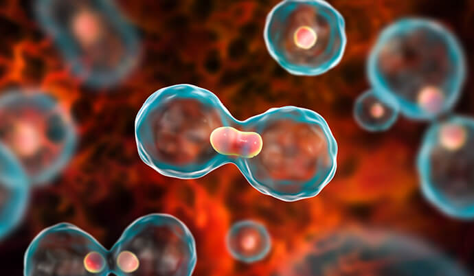 Immortal Cells | Sanford PROMISE