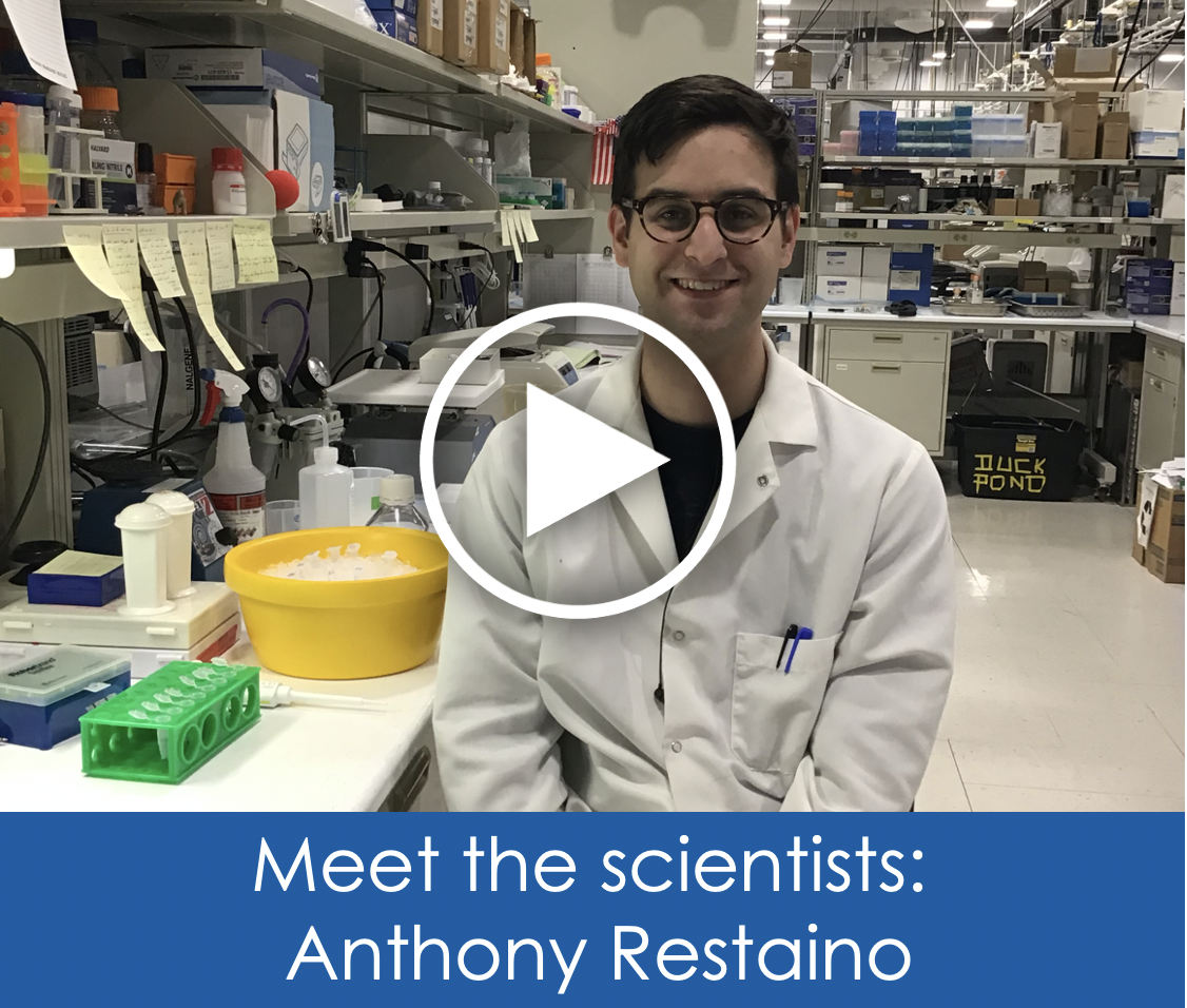 Meet Our Scientists: Tony Restaino | Video | Sanford PROMISE