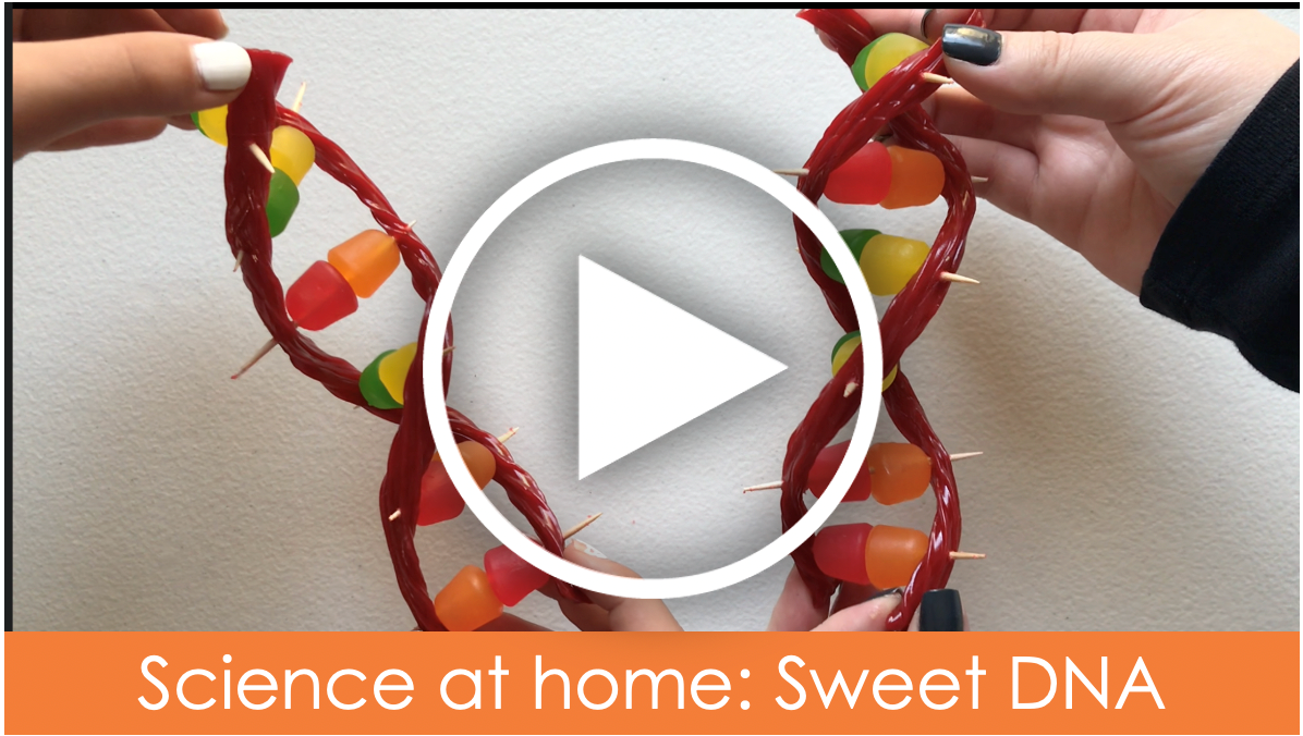 Sweet DNA | Video | Sanford PROMISE